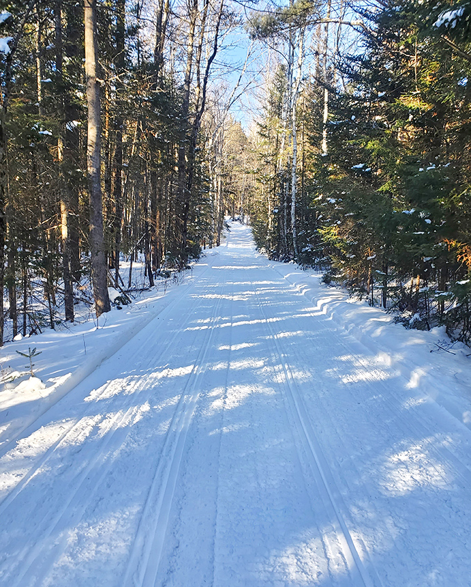 Winter transforms hiking trails into cross-country skiing highways. The silence broken only by the satisfying crunch of fresh powder.