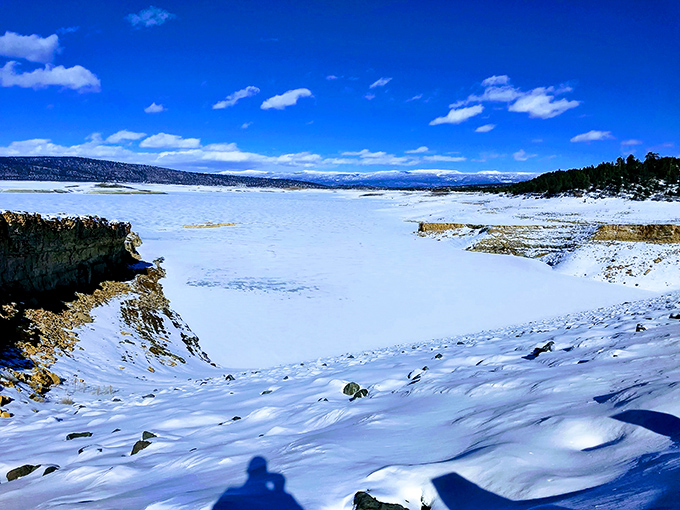 Winter transforms Heron Lake into a serene snow globe&mdash;minus the shaking and the tacky plastic base.