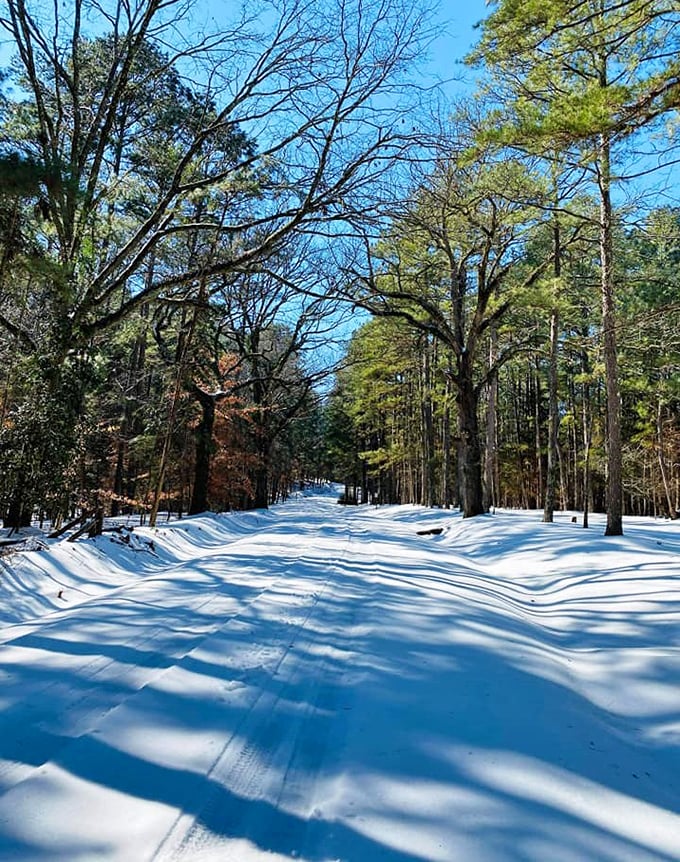 Winter transforms the park into a peaceful wonderland that's beautiful enough to almost make you forget it's cold.