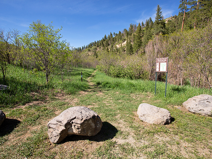 Sugarite Canyon State Park trails invite exploration without expensive equipment or guides. Nature's theme park with no admission fee&mdash;just rocks, trees, and endless possibilities.