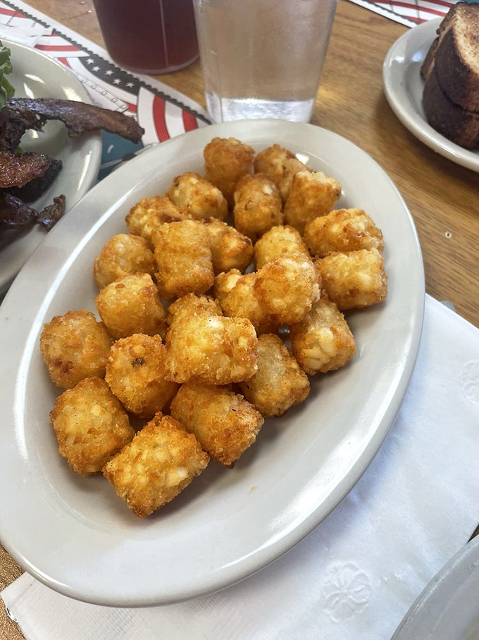 Golden-brown tater tots that crunch like childhood memories. These crispy potato nuggets prove that some foods never outgrow their ability to bring joy.