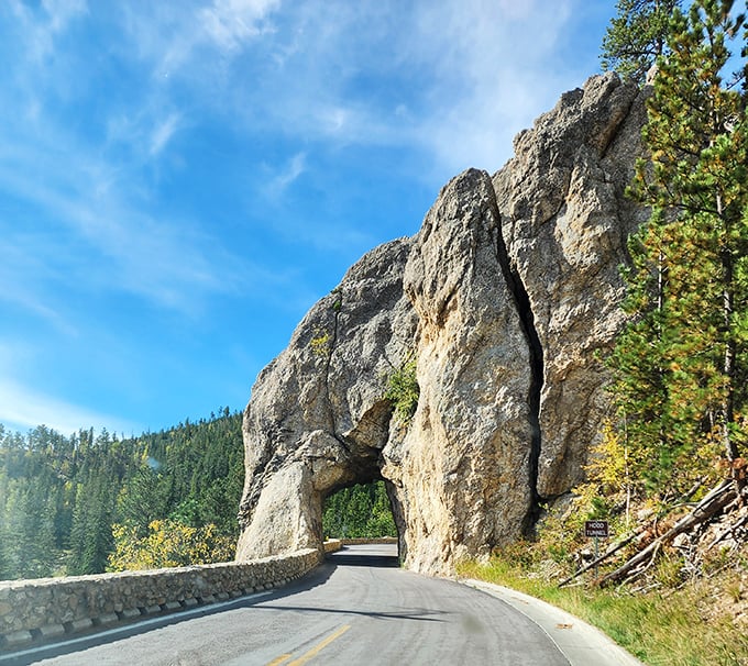 Driving through this natural rock tunnel feels like passing through a portal to a world where schedules and deadlines don't exist.