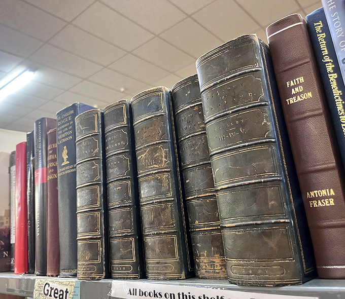 Leather-bound volumes with gilded spines that have witnessed more history than most of us ever will.