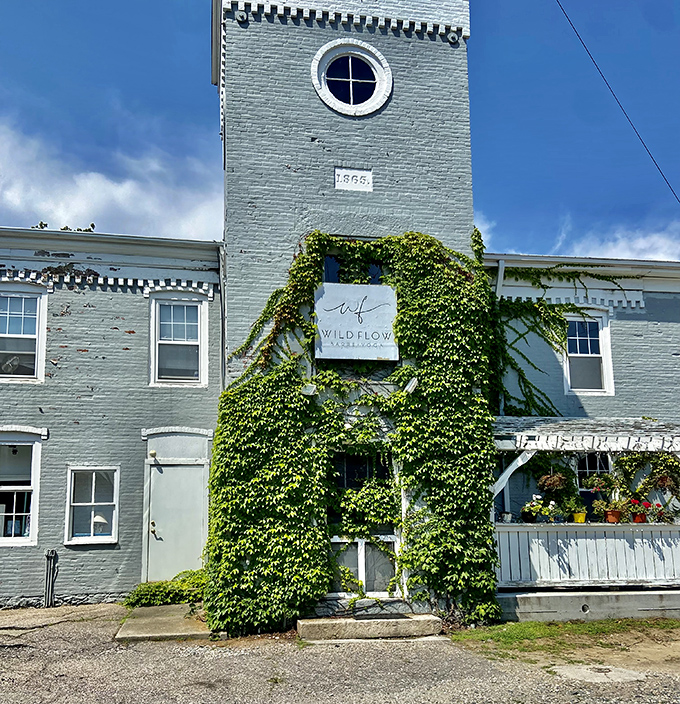 Wild Flow's ivy-covered entrance proves that sometimes the most magical shops require a bit of greenery to find &ndash; like retail camouflage for the discerning.