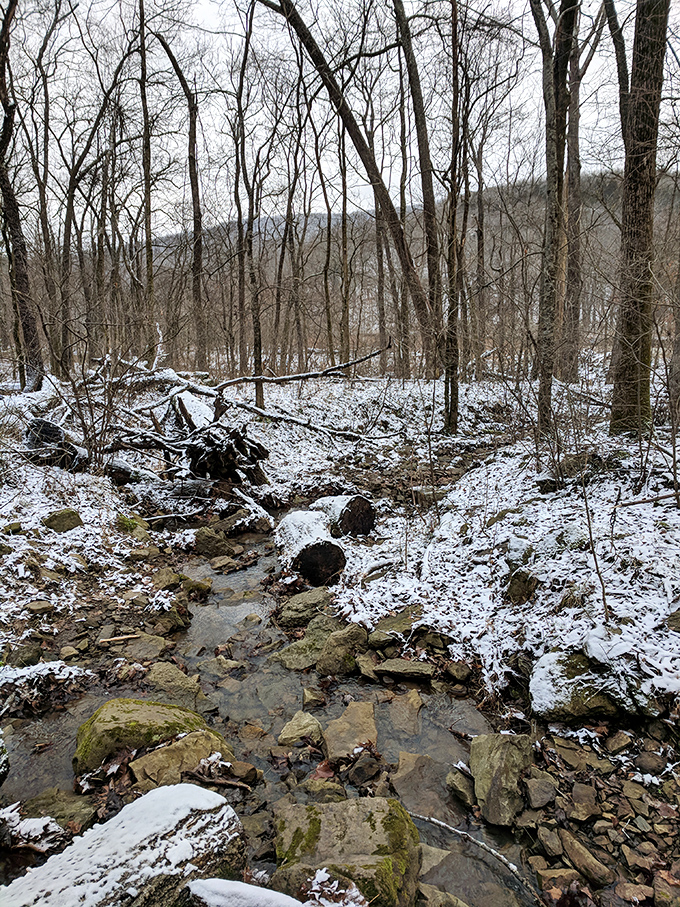 Winter transforms Devil's Den into a crystalline wonderland. The snow-dusted creek bed creates nature's version of a marble sculpture gallery that changes with every snowfall.