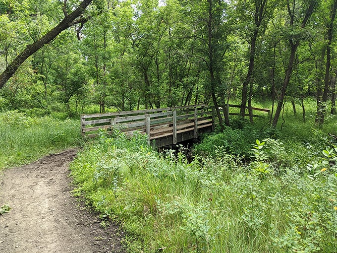 Not all who wander are lost, especially on this charming wooden bridge. Nature's cathedral of green embraces hikers on the park's network of trails.