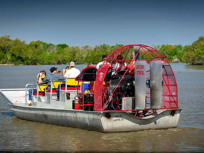 Nothing says "I'm embracing retirement adventure" quite like zooming through alligator territory on what's essentially a lawn chair attached to a giant fan.