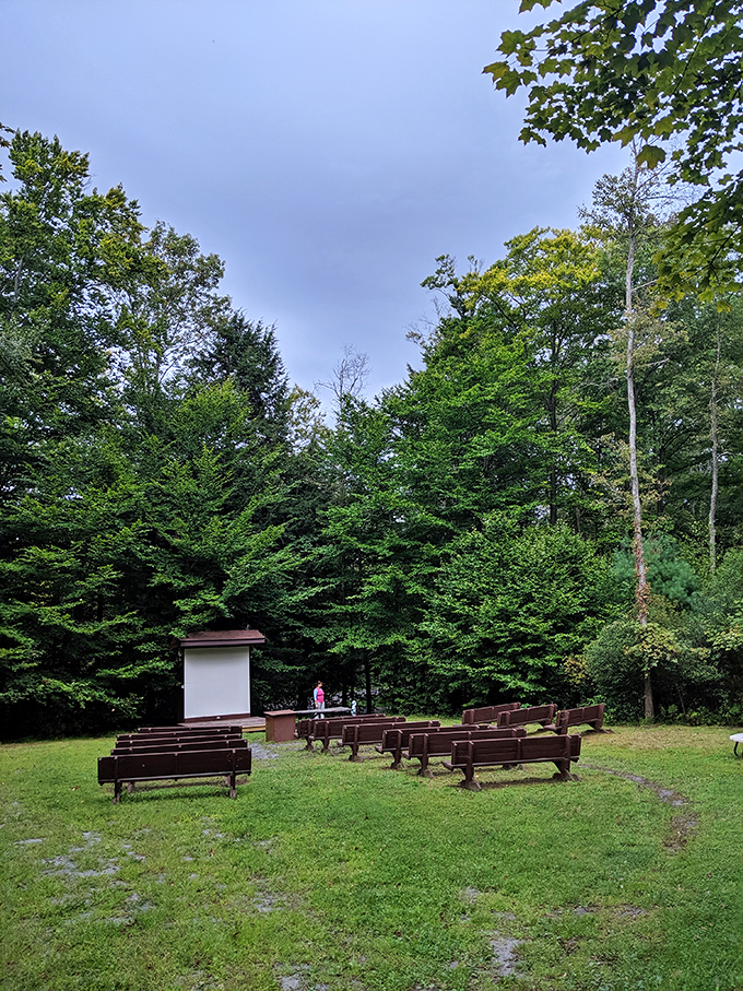 This woodland amphitheater doesn't need Broadway tickets or fancy seats to deliver five-star entertainment under the pines.