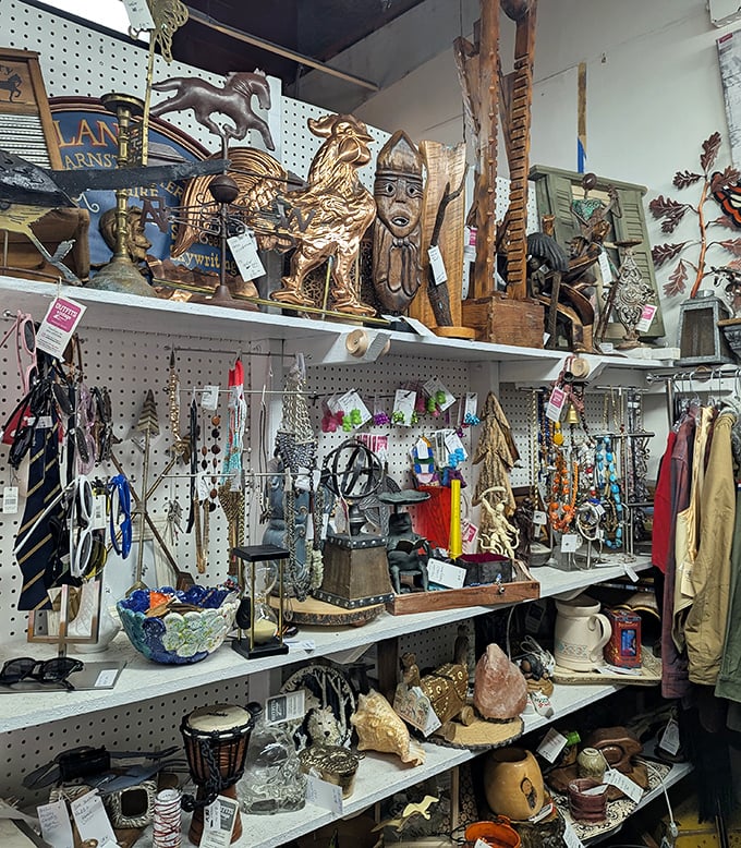 One person's "what is that thing?" is another's perfect conversation piece. This booth proves that organized chaos creates the best treasures.