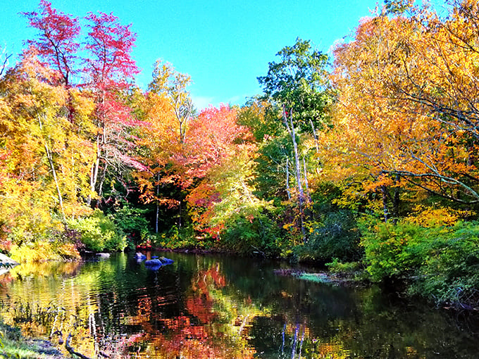 Autumn's grand finale turns the park into nature's fireworks display. Connecticut doesn't need New England's permission to do fall spectacularly.