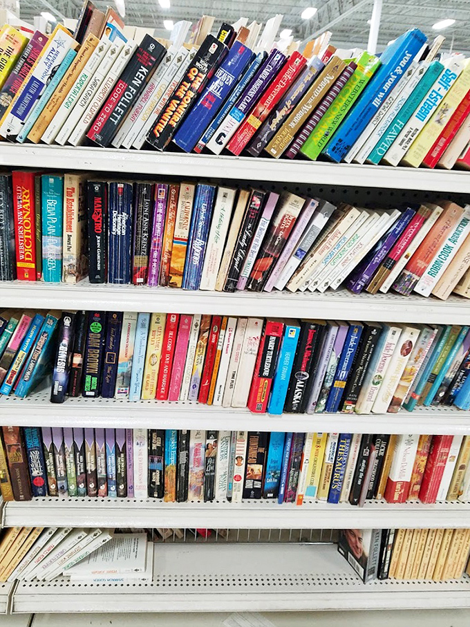Bookworms rejoice! These well-stocked shelves contain everything from forgotten bestsellers to timeless classics waiting for their next reader.