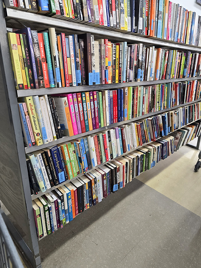 Literary treasures await between these well-stocked shelves. From bestsellers to obscure gems, bibliophiles can rebuild their libraries without breaking the bank.