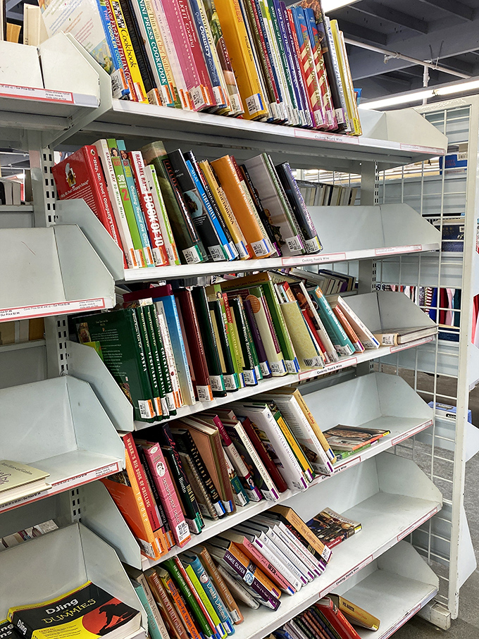 Literary treasures stacked spine-out, waiting for curious fingers—where else can you build a library for the price of a fancy coffee?