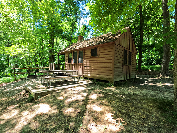 Rustic luxury in the heart of Maryland wilderness. These cabins offer the perfect compromise for those who love nature but also appreciate solid walls.