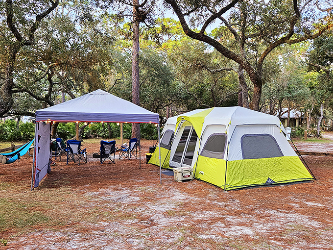 Camping nirvana under ancient oaks. This tent setup proves you don't need five stars above your hotel to have a five-star experience.