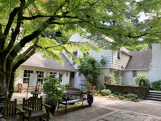 The Manor House courtyard offers the kind of peaceful seating that makes you forget your phone exists.