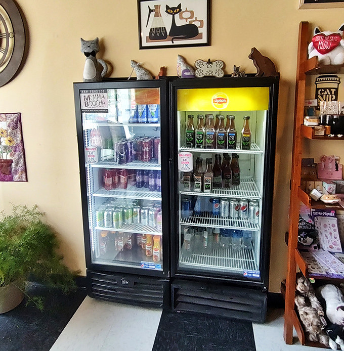 Cat figurines stand guard over refrigerated beverages, while mid-century feline artwork watches from the wall above.