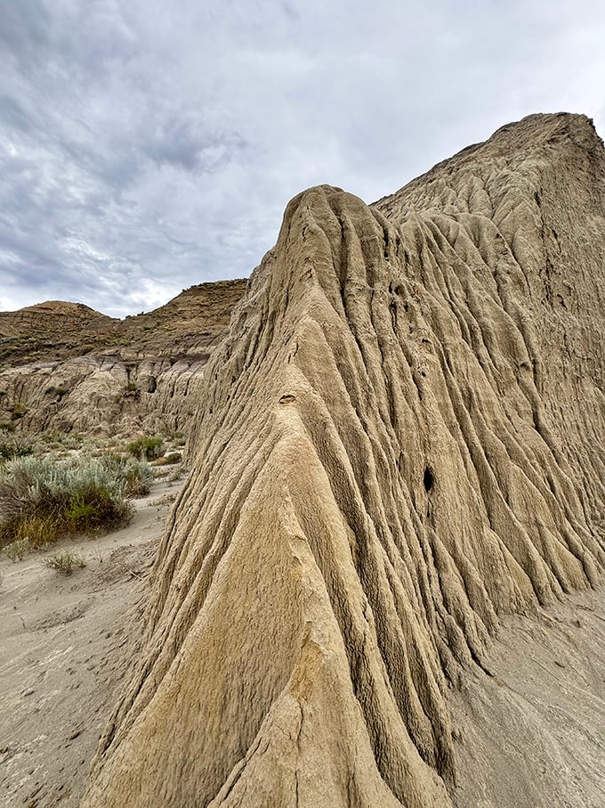 Erosion as artist, time as medium. These sculpted formations look like they were designed by a geological Gaudi with millions of years to perfect his craft.