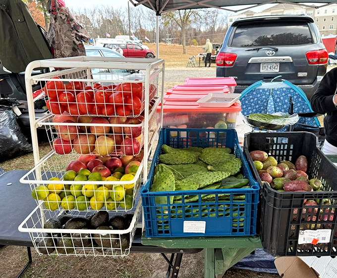 Fresh produce adds farm-to-flea-market charm, with local apples and nopales offering a colorful counterpoint to the vintage treasures inside.