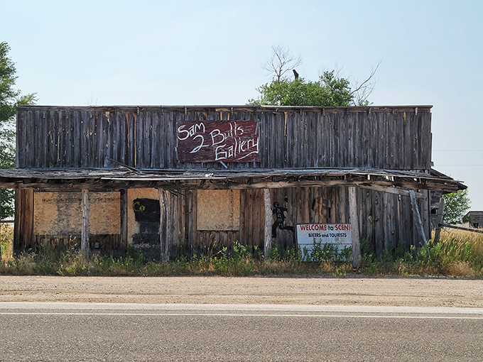 Sam's 2 Bulls Gallery offers a name as intriguing as the weathered wooden structure itself, standing defiant against South Dakota's relentless elements.