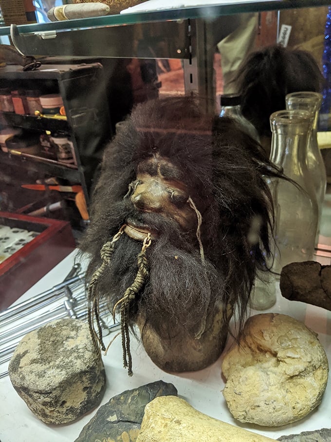 This preserved specimen might have you questioning your dinner plans. The taxidermy here ranges from conventional to decidedly... creative.