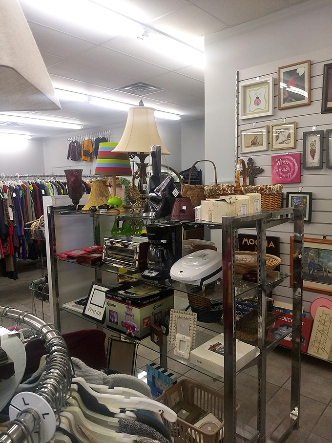 Lamps, baskets, and household treasures create a home goods wonderland where function meets frugality perfectly.