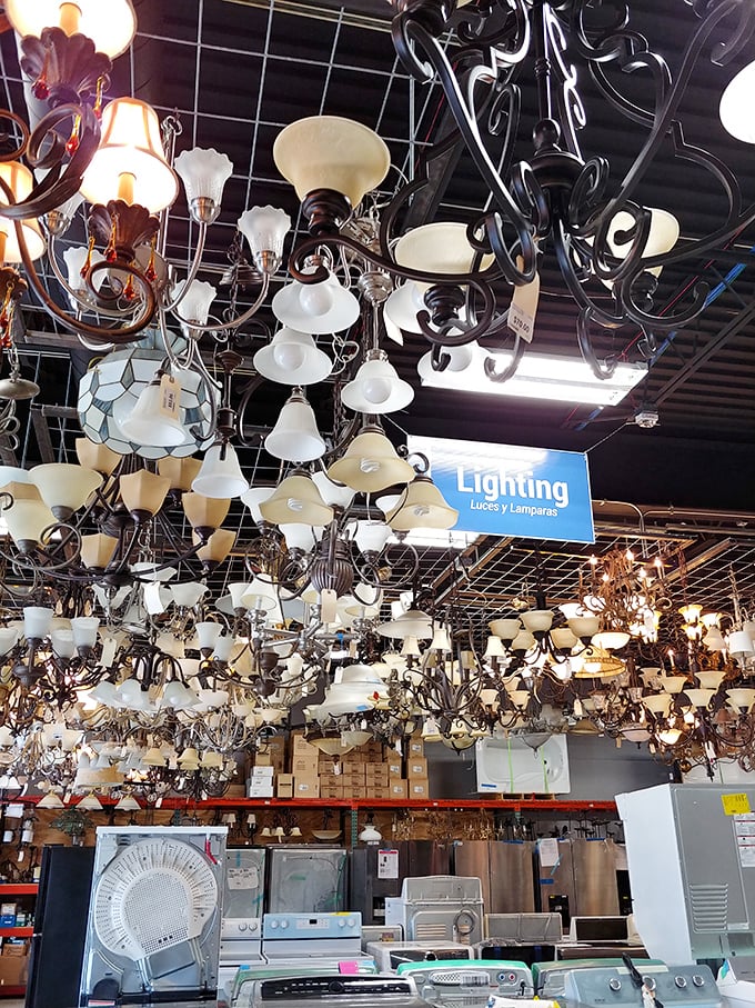 Chandeliers dangling like elegant jewelry above everyday appliances. Lighting that makes even washers and dryers look ready for their close-up.