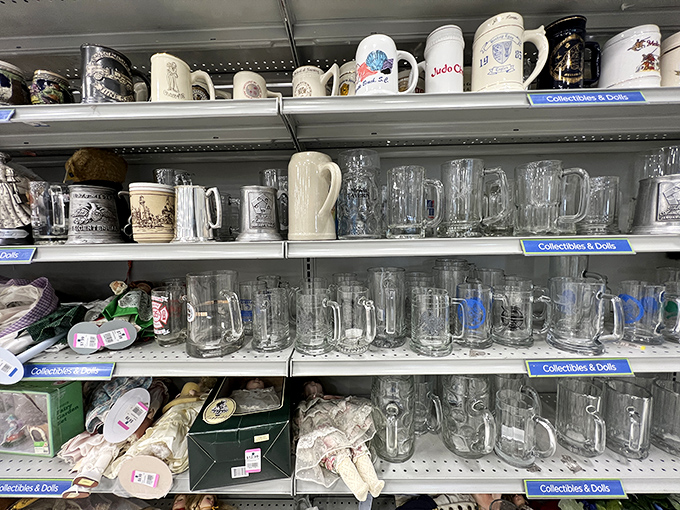 Mug collectors, rejoice! From souvenir steins to quirky coffee cups, each one holds not just beverages but stories from places near and far.