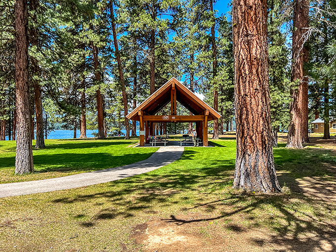 Picnic pavilion perfection &ndash; where even a simple sandwich tastes like it deserves its own cooking show.