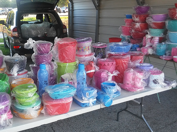 Plastic paradise in every color of the rainbow. These storage containers promise to organize the very chaos you're about to bring home.