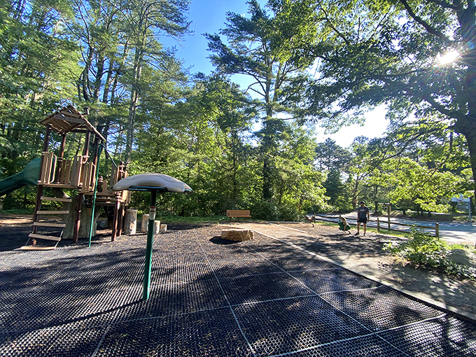 Pine-needle carpeted paths lead through forests so enchanting, you'll half-expect woodland creatures to start giving you directions.