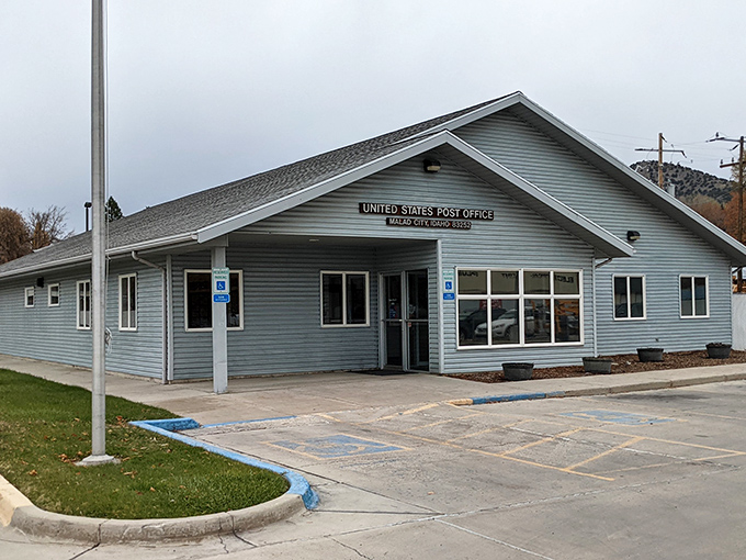 The post office—where mail still matters and the clerk might ask about your grandmother's hip replacement because they actually remember her name.