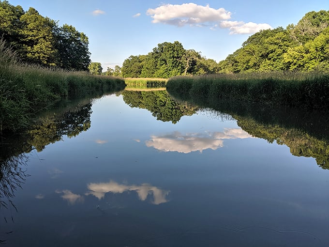 Mirror, mirror on the lake: when water this still reflects the sky, you get twice the beauty for half the effort.