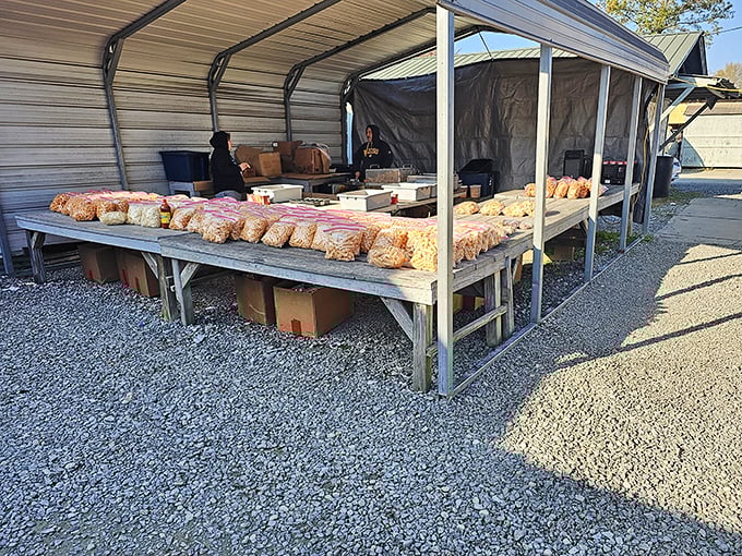 Potato paradise! Tables laden with produce sacks showcase the direct farm-to-market connection that makes prices unbeatable.