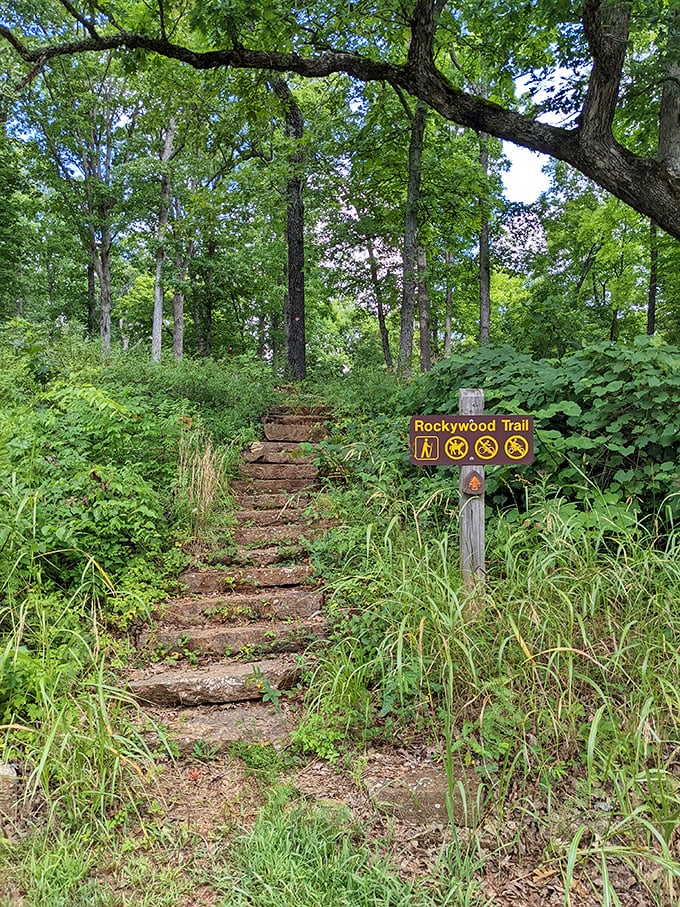 The Rockywood Trail's stone steps invite adventurous souls upward, promising views worth every huff and puff. Your fitness tracker is about to have its best day ever.