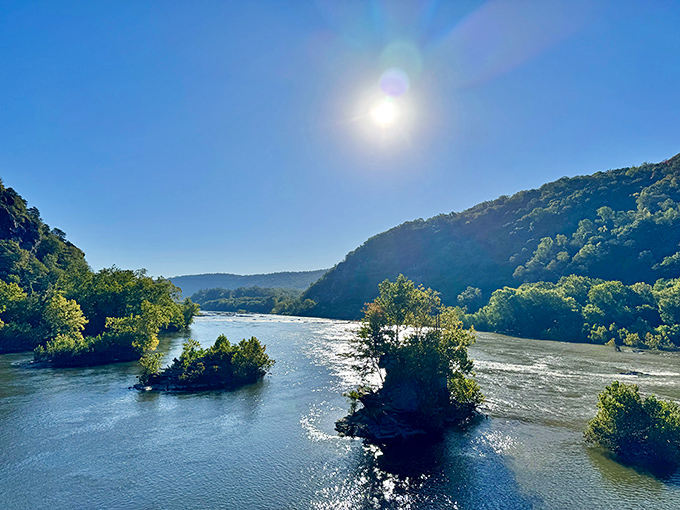 Morning light dances across the Shenandoah River, turning ordinary islands into emerald jewels set in a rippling silver necklace.