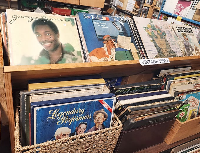 Vinyl enthusiasts can dig through crates of musical history, from George Benson's smooth jazz to forgotten gems waiting for rediscovery.