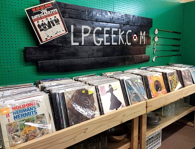 Vinyl heaven for music lovers. These albums aren't just recordings&mdash;they're time capsules of artwork, liner notes, and analog warmth your Spotify playlist can't deliver.