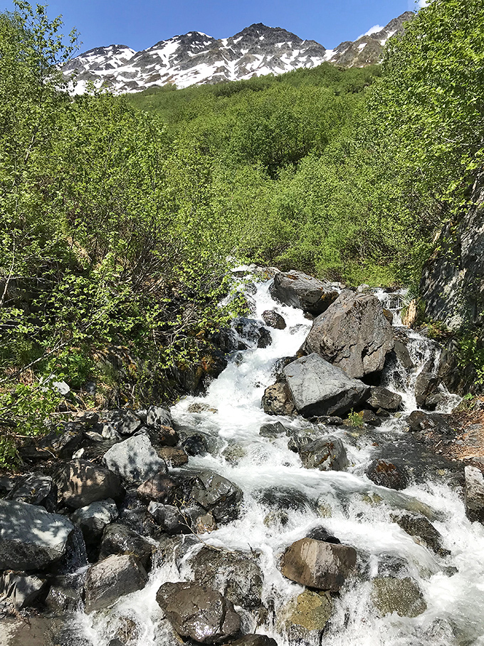 Mountain streams create their own soundtracks as they tumble through rocky terrain beneath snow-dusted peaks.