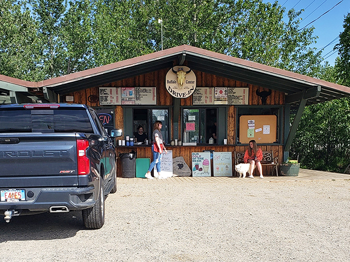 This cozy drive-in window serves up buffalo burgers that'll make you forget every chain restaurant forever.