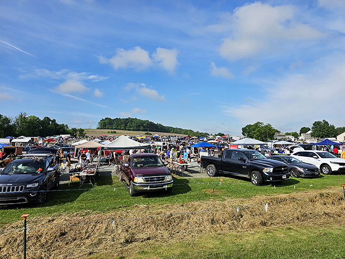 Jake's Flea Market transforms an ordinary field into a weekend wonderland of tents, tables, and treasures.