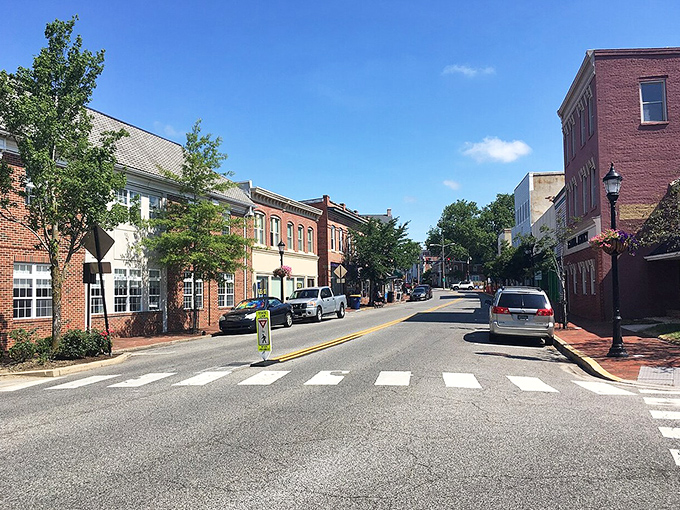 Milford's streets offer that perfect blend of historic charm and modern affordability that savvy retirees seek out.