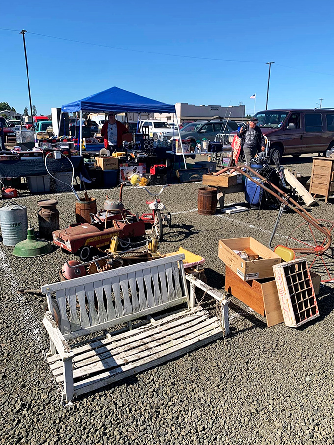 Rural charm meets treasure hunting at its finest. That old bench might be exactly what your garden has been missing!