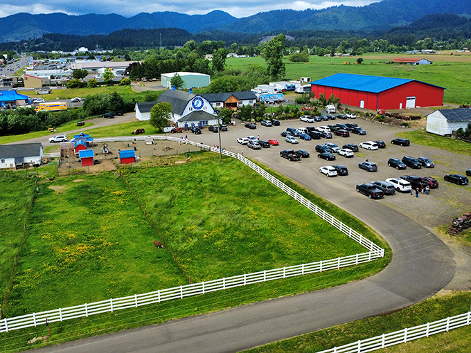Tillamook's rolling farmland stretches toward mountain horizons, where dairy cows live better than most city dwellers.