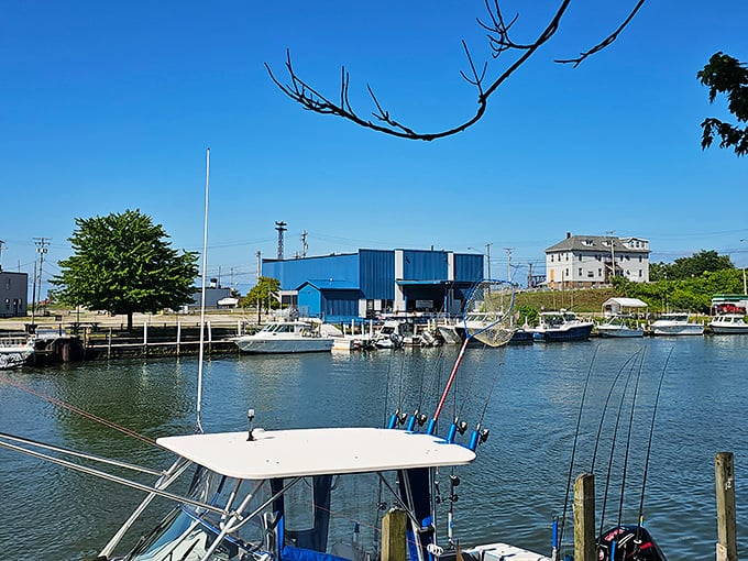 Ashtabula's charming harbor marina offers affordable waterfront living with boats ready for Lake Erie adventures.
