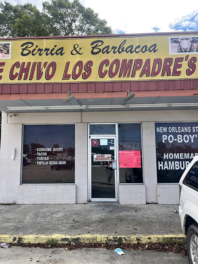 This no-frills taco spot specializes in slow-cooked meats that fall apart faster than New Year's resolutions. Worth every bite!