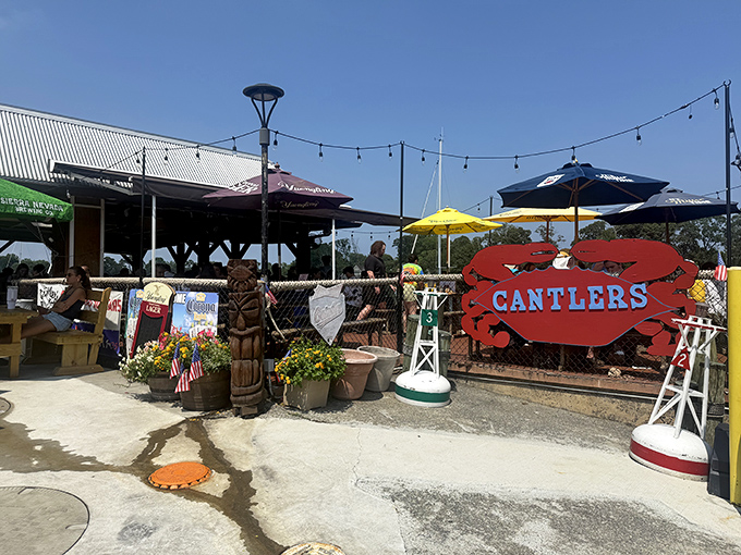 Colorful buoys and umbrellas mark the spot where locals and tourists unite in crab cake appreciation.