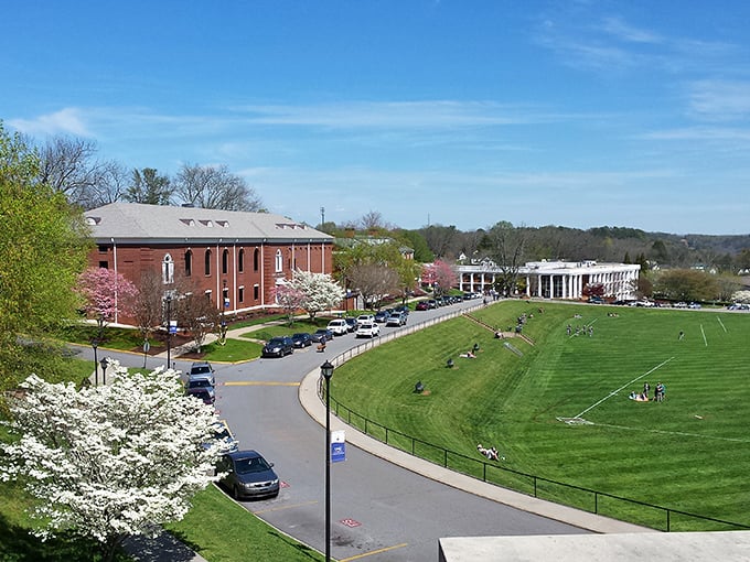 Spring blossoms frame Dahlonega's historic campus, where learning happens amid picture-perfect Southern scenery.
