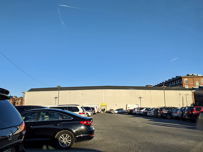 Inside Lawrence Flea Market, where aisles become avenues of discovery and unexpected finds.