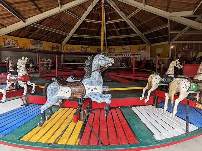 Carousel horses frozen in eternal gallop. This 1901 C.W. Parker masterpiece isn't just a carnival ride—it's functional art that's been delighting riders for over a century.